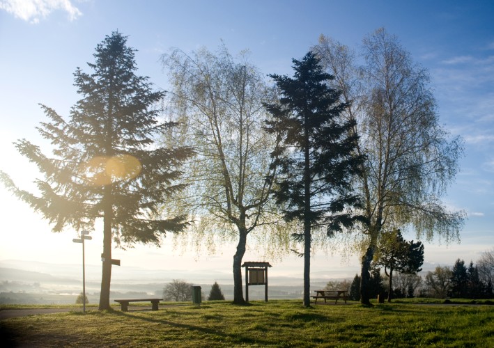 Startseite | Lottstetten